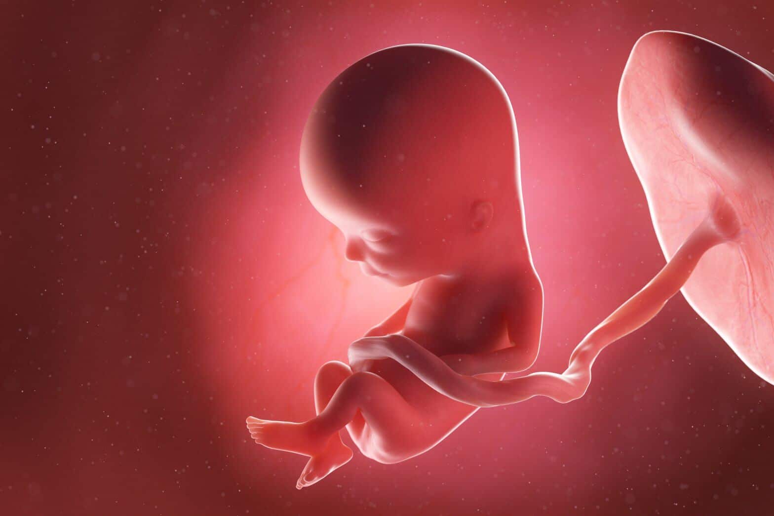 Pregnancy At 13 Weeks - Being The Parent