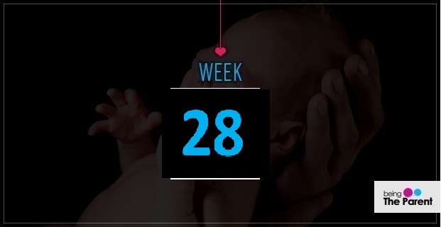 Pregnancy At 28 Weeks - Being The Parent