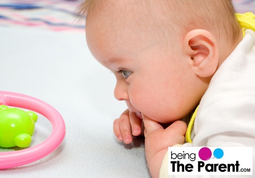 Your Baby- Month 6 - Being The Parent