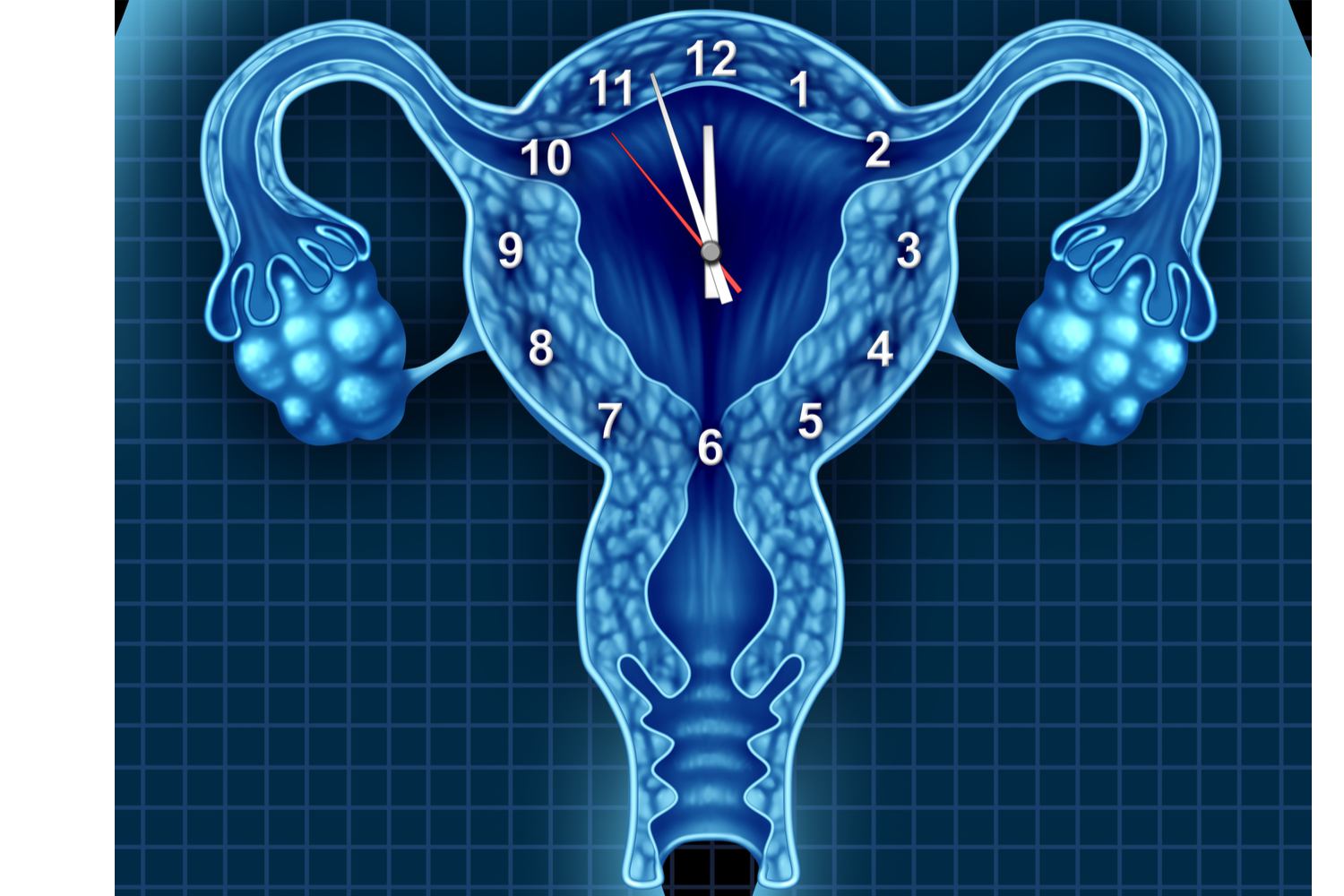 Women’s Age And Fertility - Being The Parent