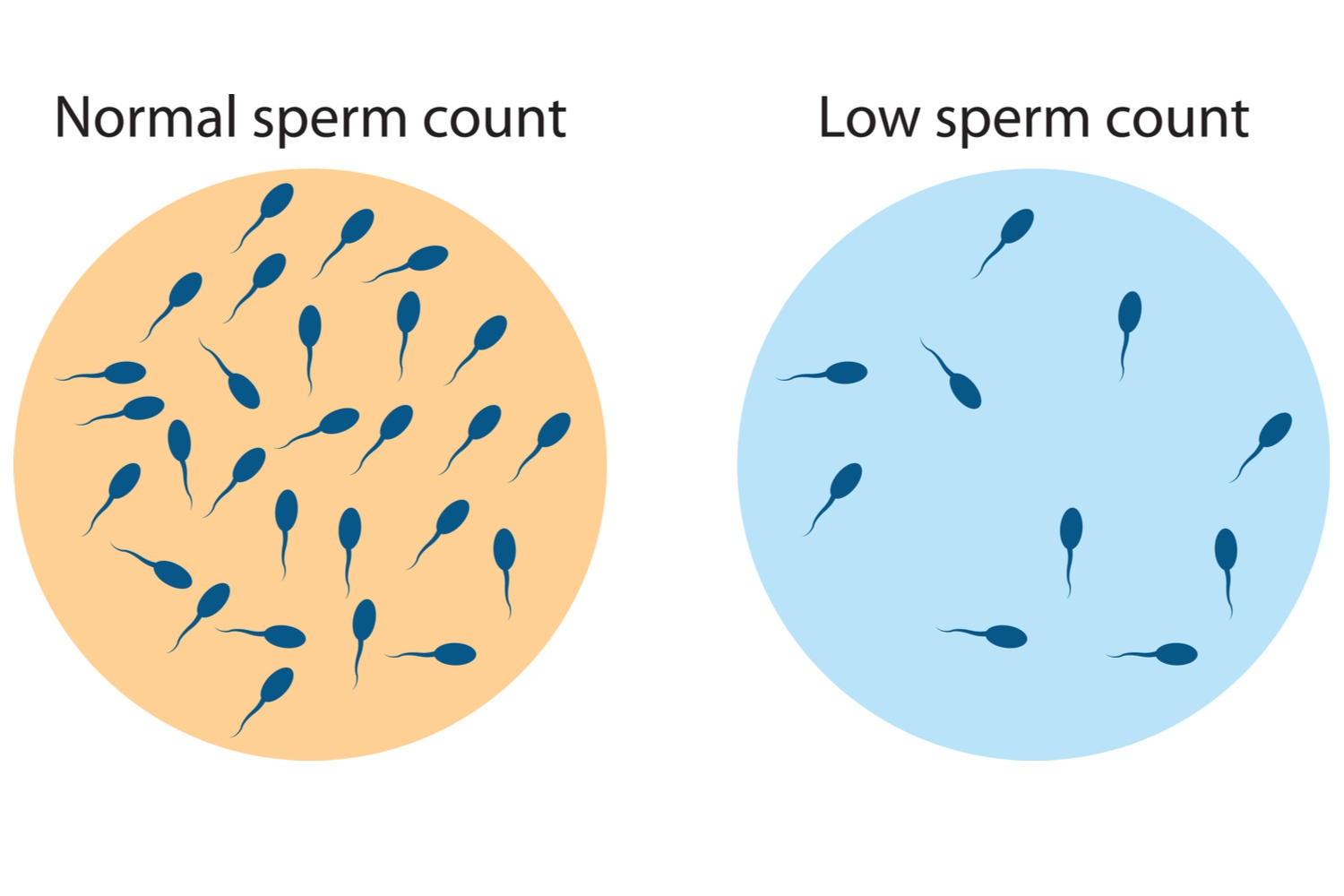Smoking And Low Sperm Count - Being The Parent