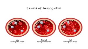 Maternal Hemoglobin Levels During Pregnancy - Being The Parent