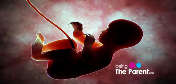 Fetal Anemia During Pregnancy | Being The Parent