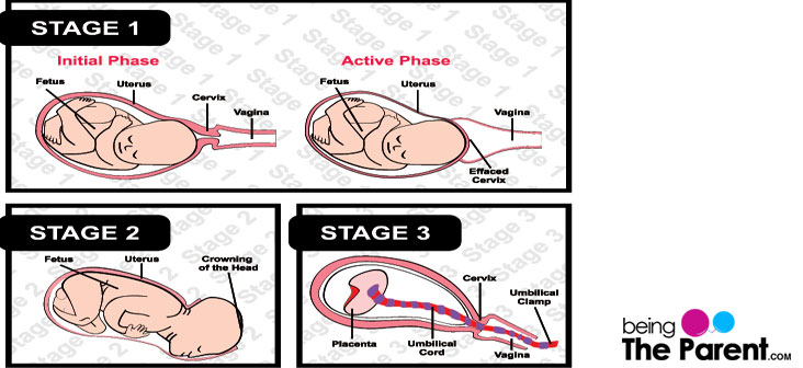 Retained Placenta: Causes, Symptoms And Treatment | Being The Parent