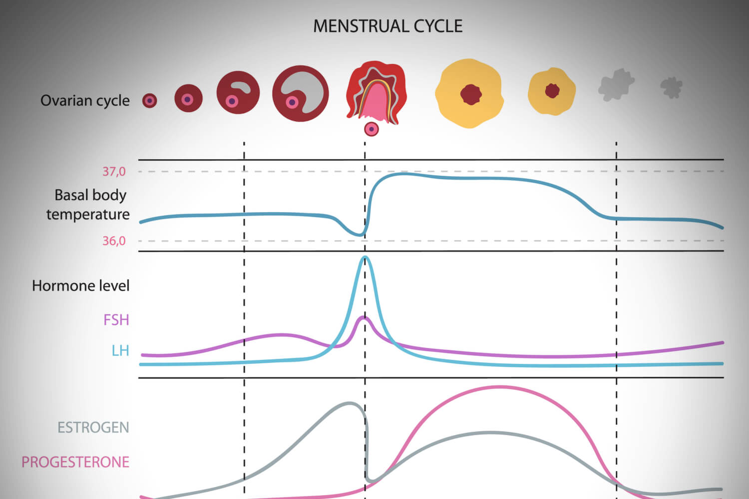 How Long Do Implantation Cramps Last In pregnancy - Being The Parent