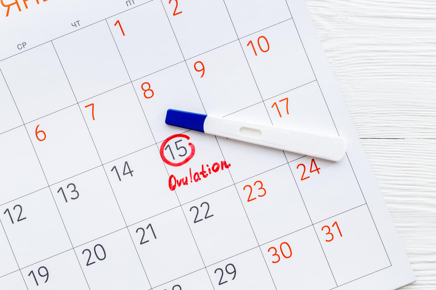How to Use Ovulation Test Strips? - Being The Parent