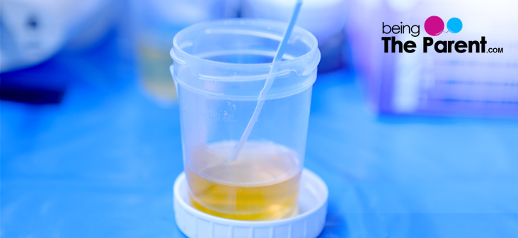 How to use Ovulation Test Strips? | Being The Parent