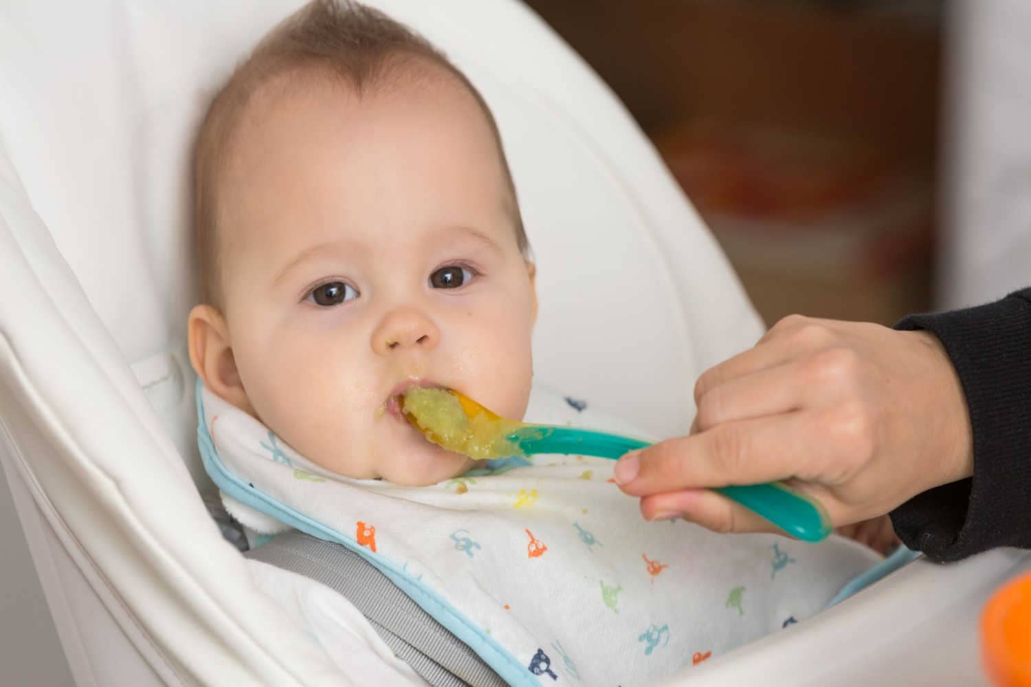 Avocados For Babies - When to Introduce, Benefits & Side Effects ...