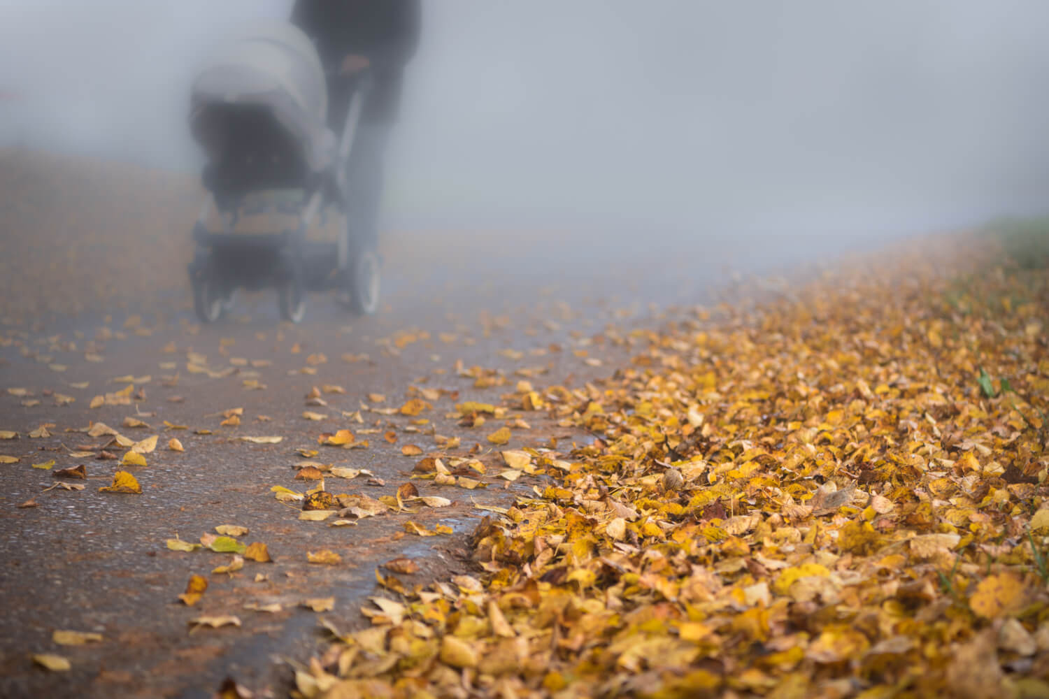 Effects of the Haze on Babies And Pregnant Women - How To Protect Them ...