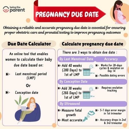 How to calculate Pregnancy Weeks &Months - Due Date Calculator