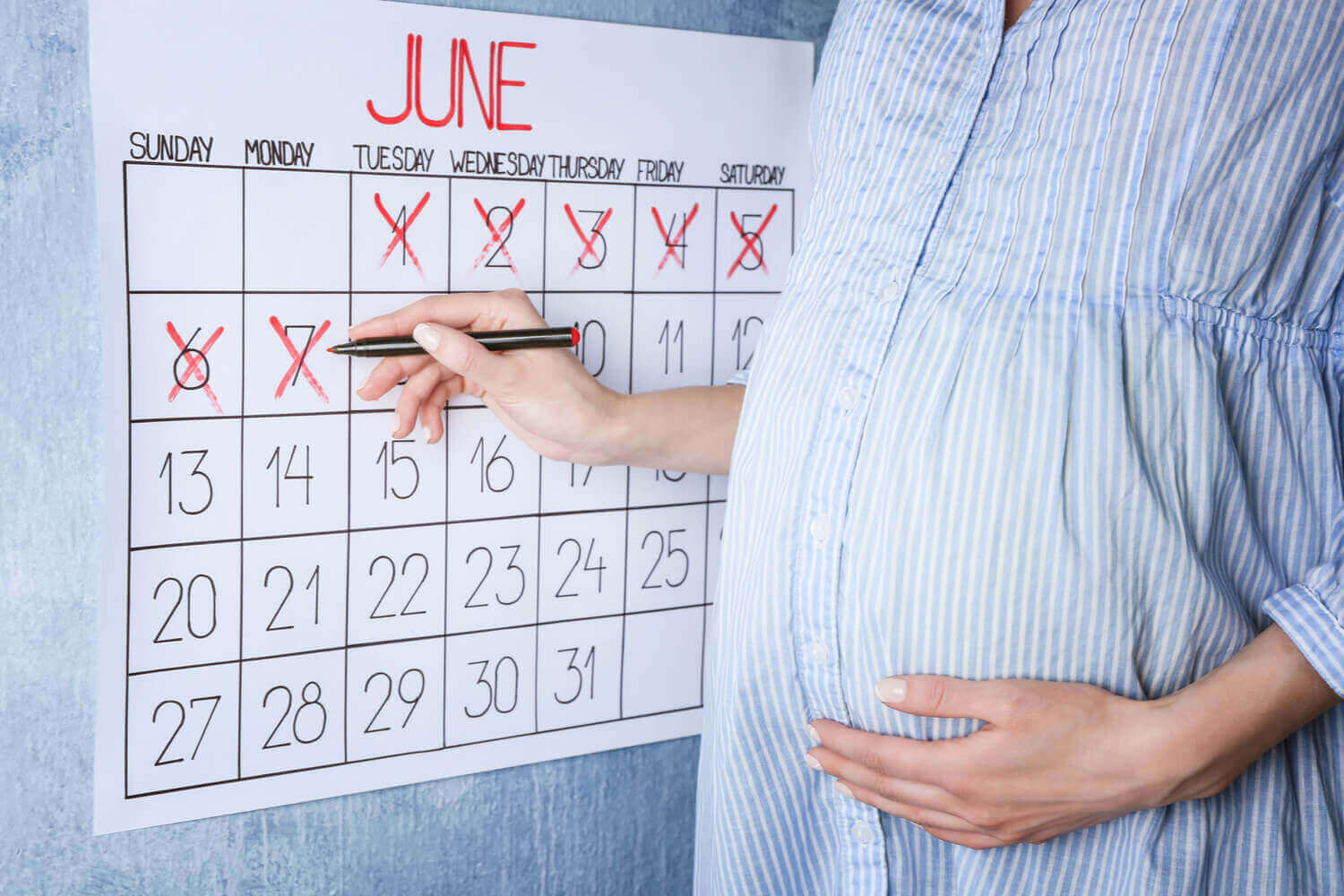How To Calculate Pregnancy Weeks And Months Being The Parent