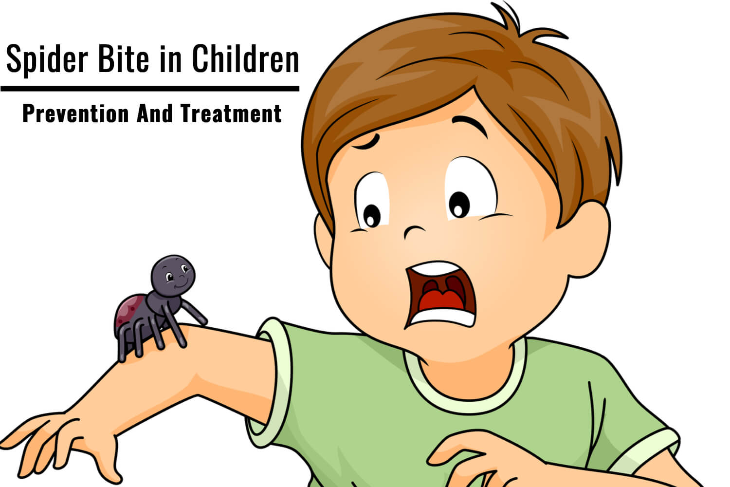 Spider Bite In Children Prevention And Treatment By Dr Chetan Ginigeri Spider Bite In Children Prevention And Treatment By Dr Chetan Ginigeri