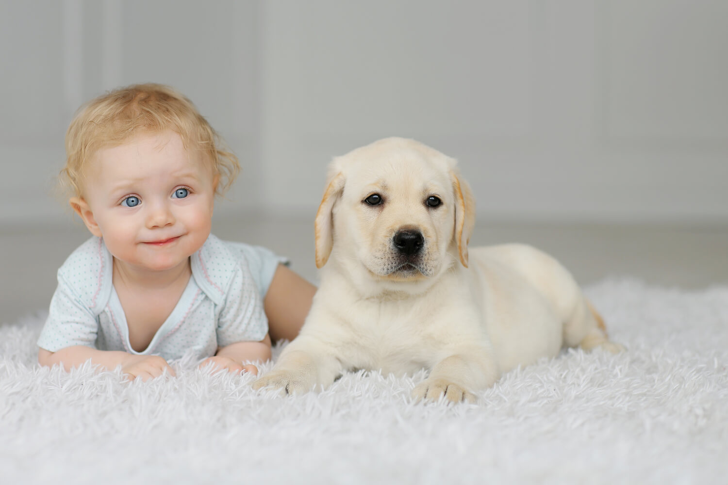 Babies and Pets - How to Introduce, Safety and Tips by Dr Chetan ...