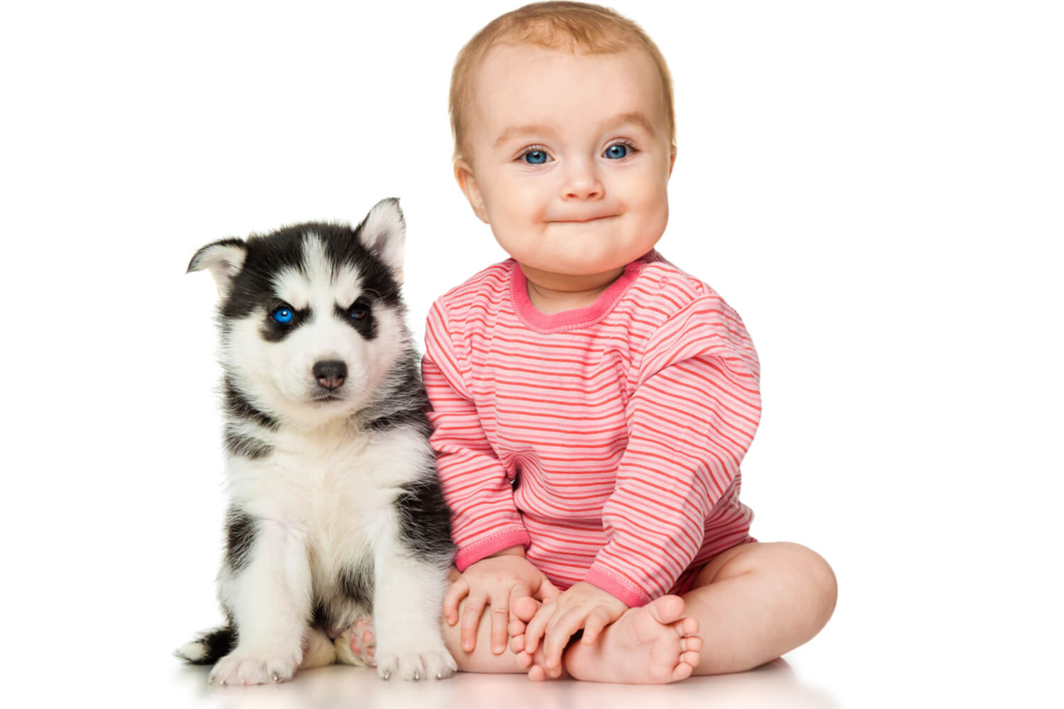 Babies and Pets - How to Introduce, Safety and Tips by Dr Chetan ...