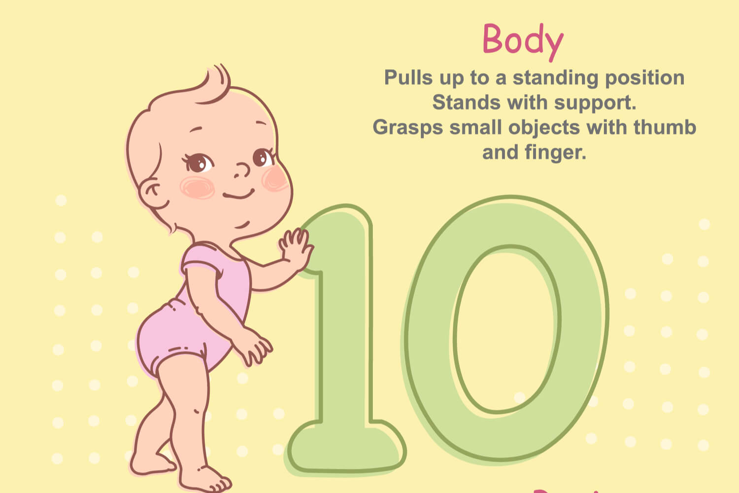 Physical Development Milestones of Your Baby(From Birth to 12 Months ...