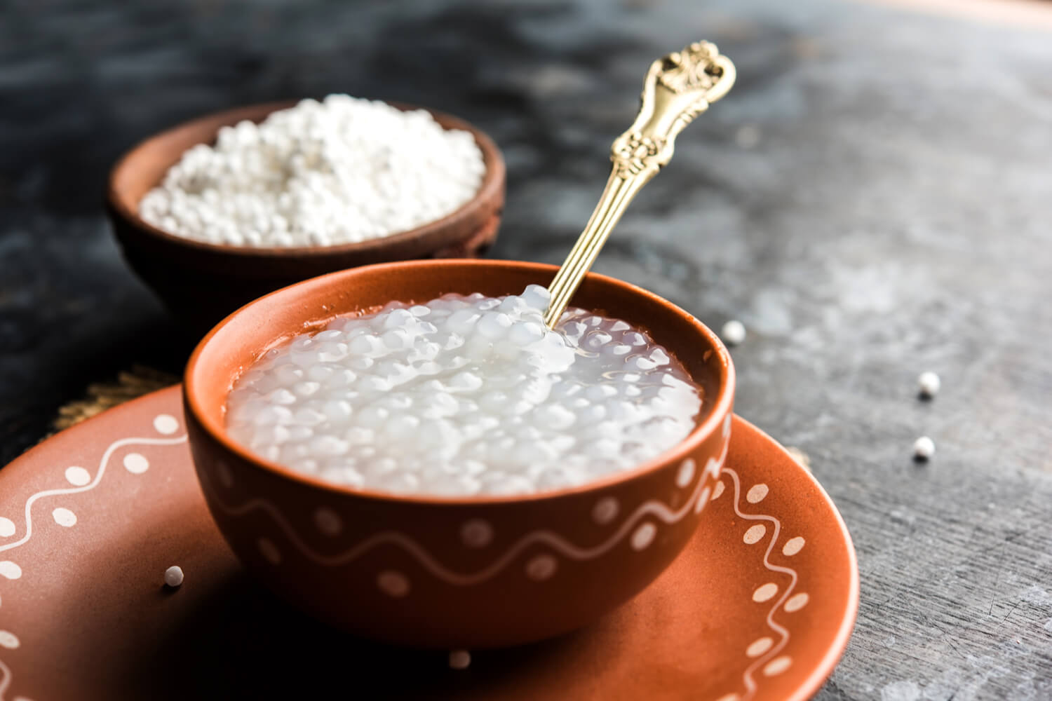 Sabudana For Babies - When to Introduce, Benefits and Precautions ...