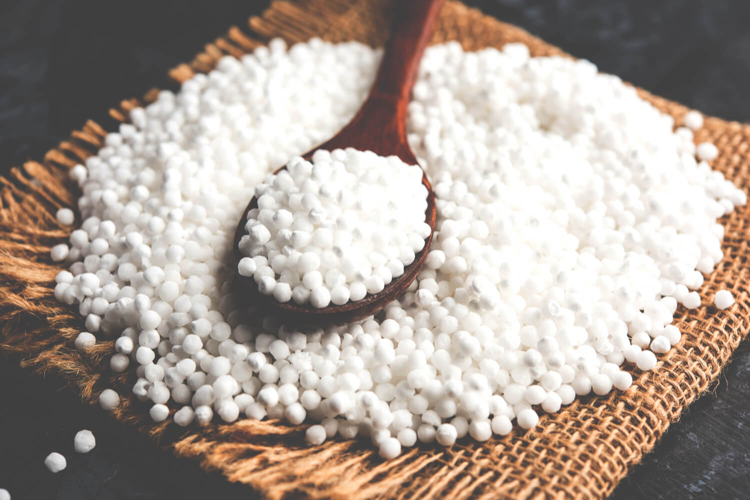 Sabudana For Babies - When to Introduce, Benefits and Precautions ...