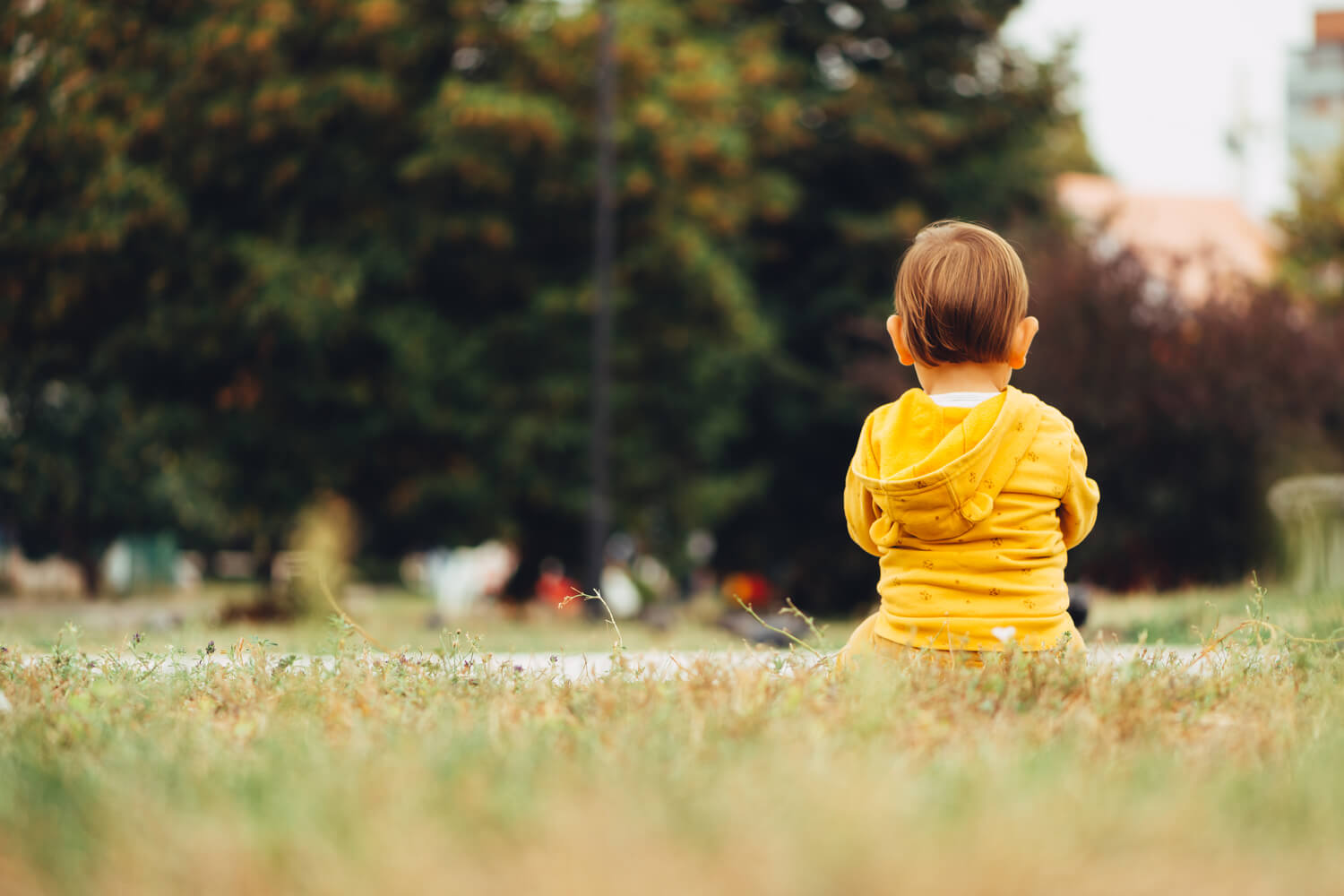 Developmental Delays in Babies - Signs, Causes and Types - Being The Parent
