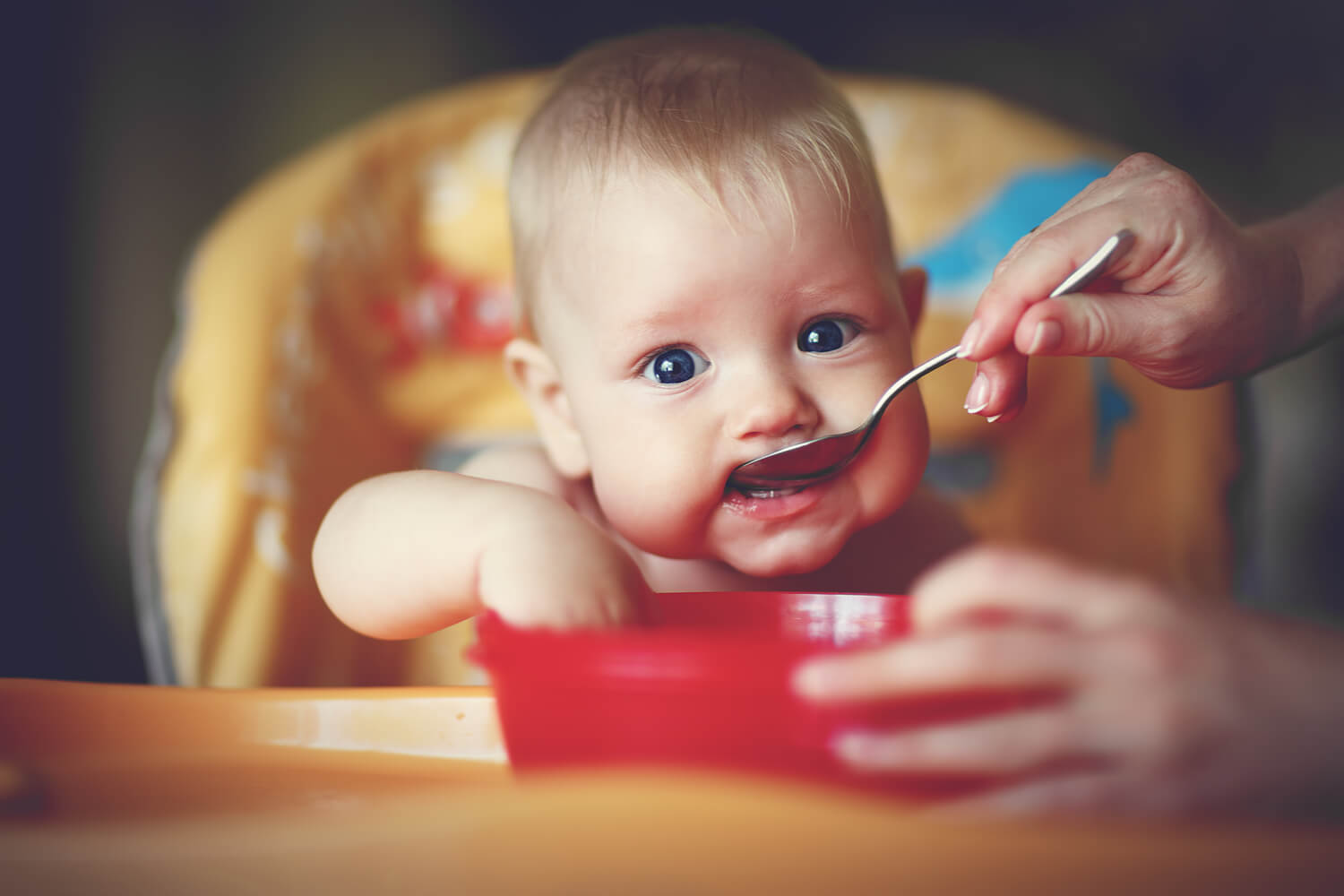 Gooseberries (Amla) For Babies - Benefits and Healthy Recipes - Being ...