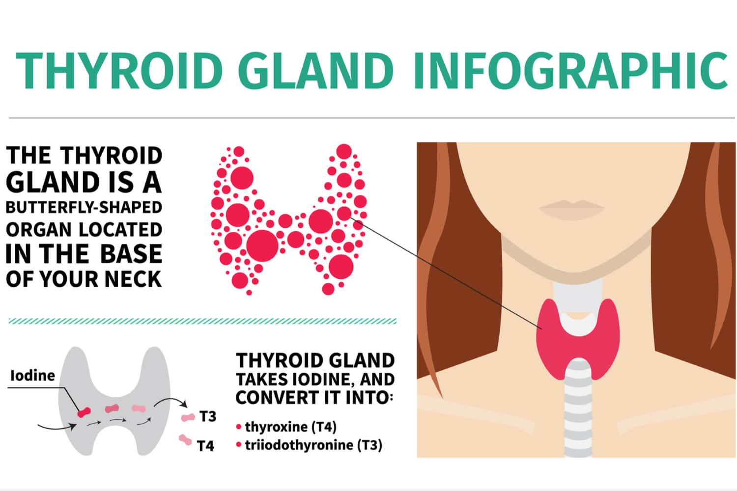 Hypothyroidism in Babies - Causes, Symptoms and Treatment - Being The ...