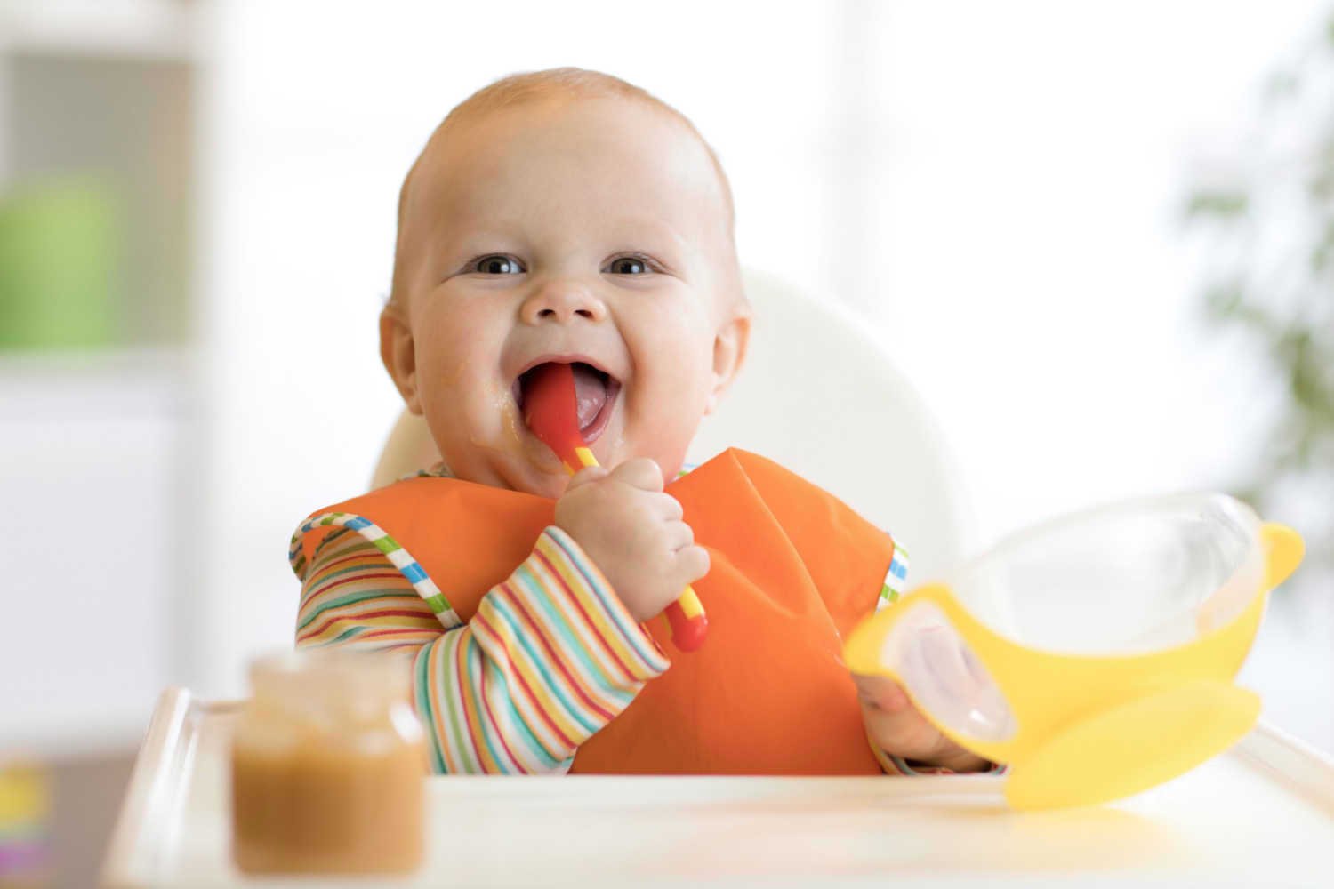 6 Month Baby Food - What to Give, What Not to Give and Sample Schedule ...