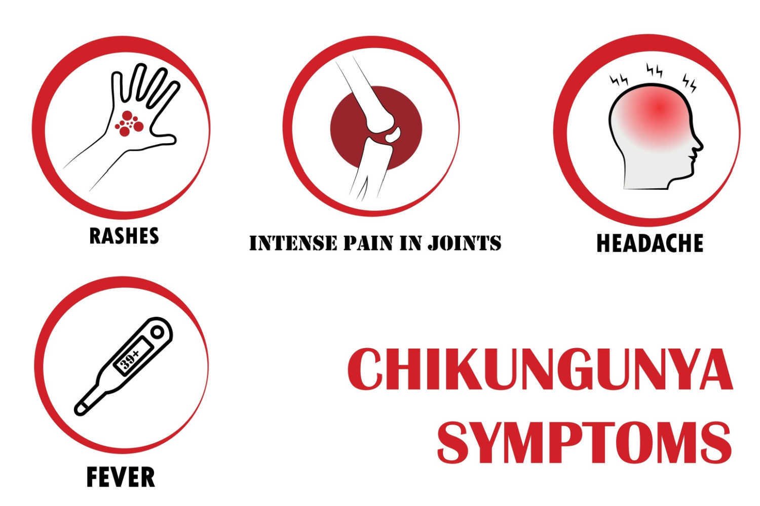 Chikungunya in Babies - Causes, Symptoms, and Treatment - Being The Parent