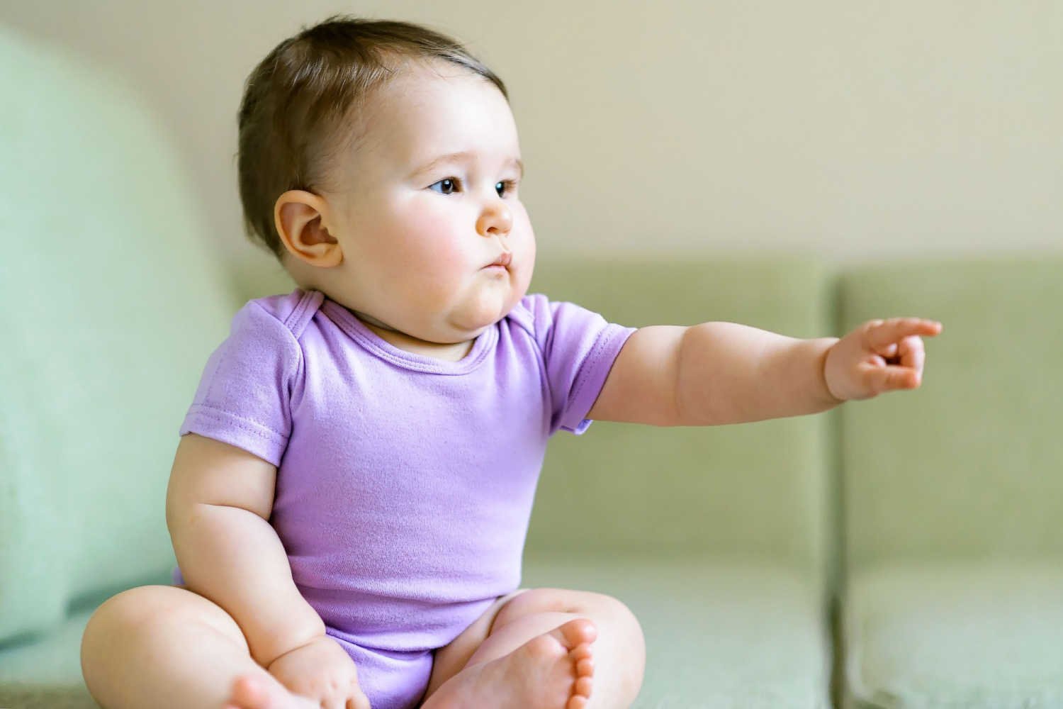 When Do Babies Start Pointing to Things? - Being The Parent