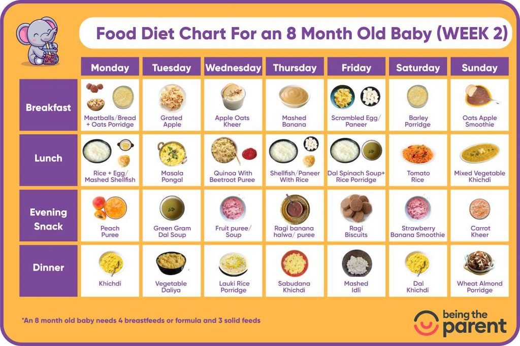 9 Month Baby Food - What to Give, What Not to Give and Sample Schedule ...