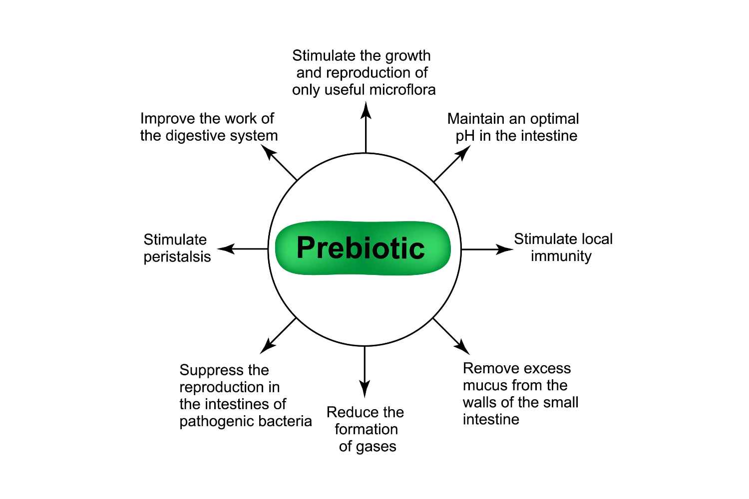 Prebiotics For Babies - Types, Benefits and Food Sources - Being The Parent