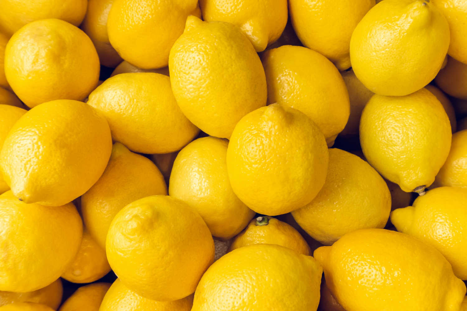 Lemon For Babies - When to Introduce, Benefits and Ways to Feed - Being ...