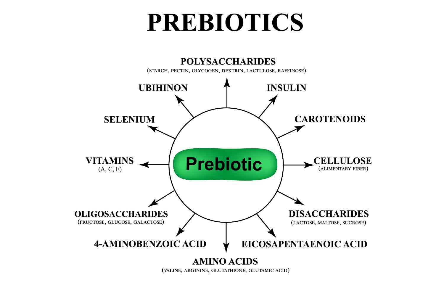 Prebiotics For Babies - Types, Benefits and Food Sources - Being The Parent