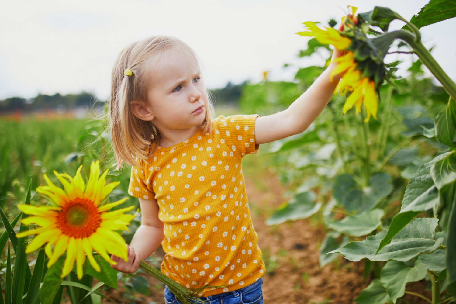 Top 10 Color Activities and Games For Toddlers to Teach Colors - Being ...