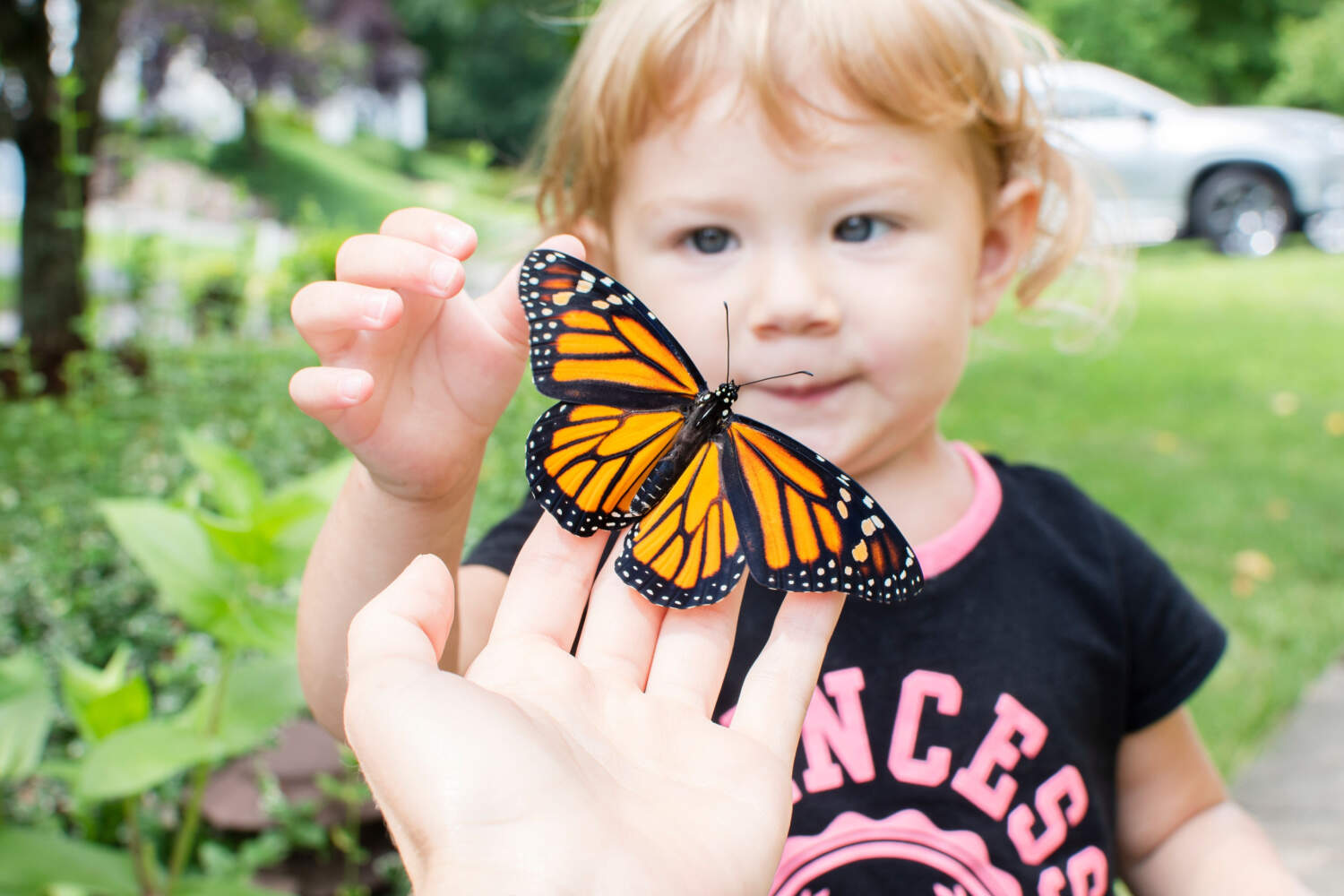 Top 10 Activities For Toddlers to Teach About Animals