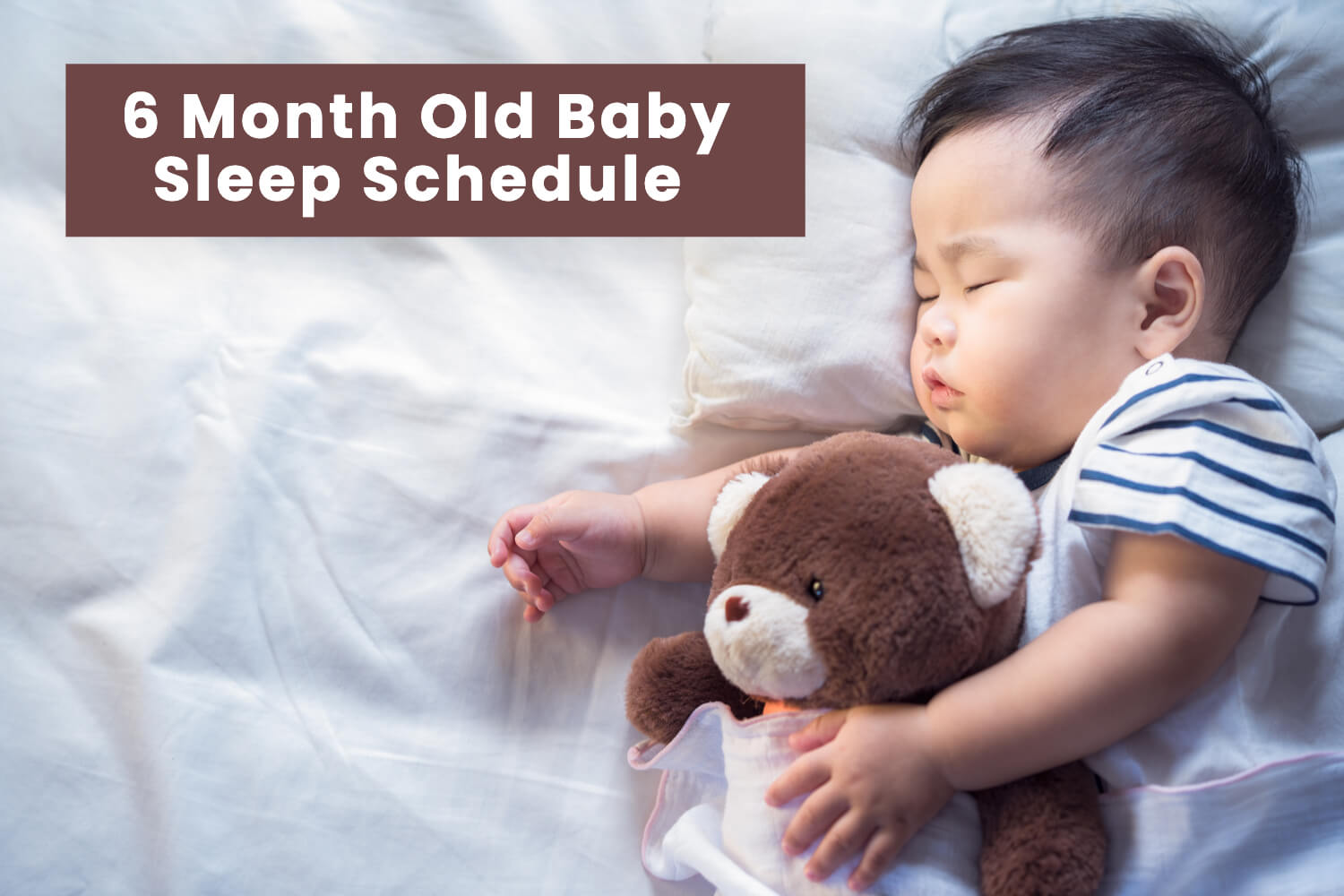 6 Month Old Baby Sleep Schedule - Sample Schedule, Problems and Tips ...