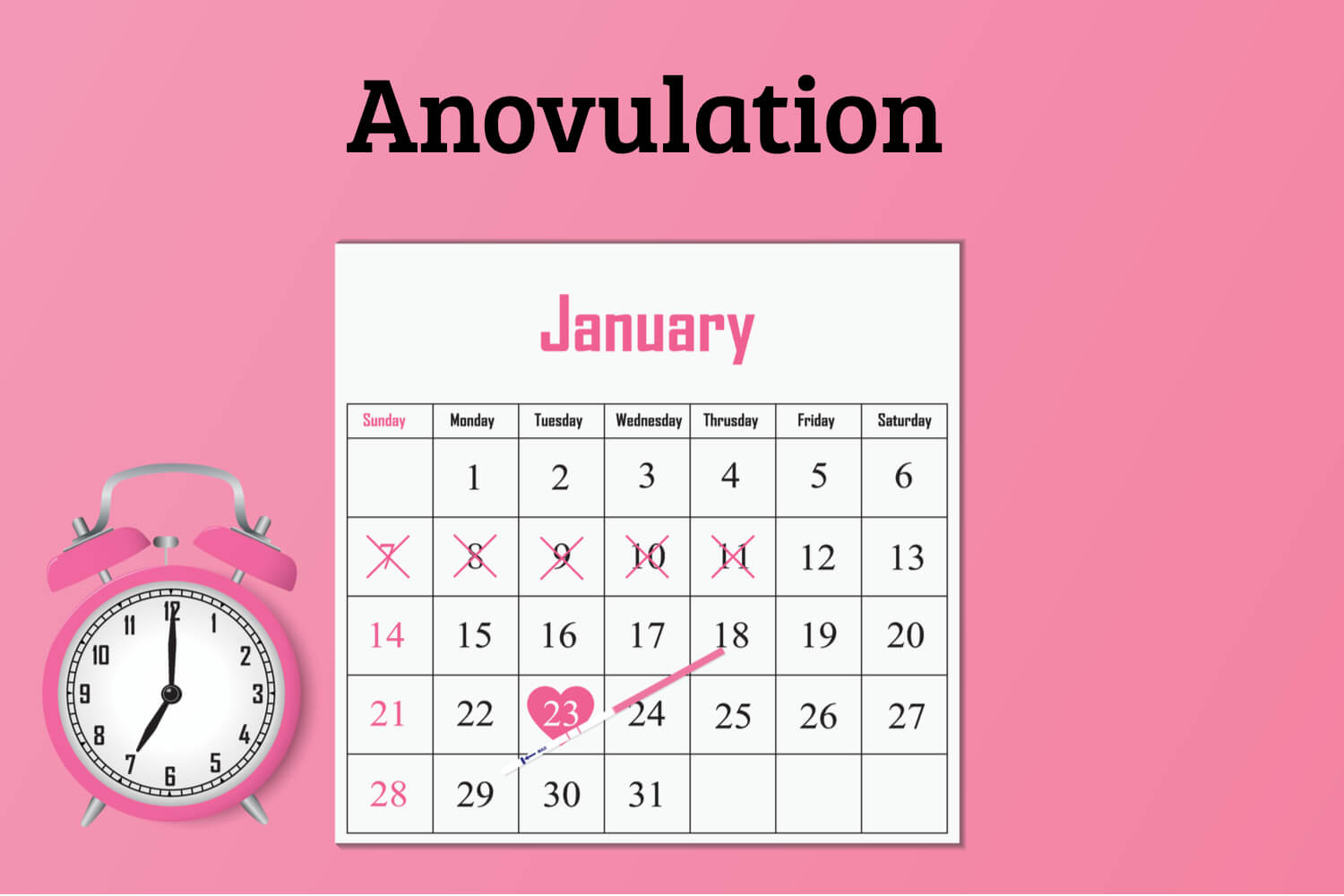 Anovulation- Causes, Symptoms, and Remedies - Being The Parent