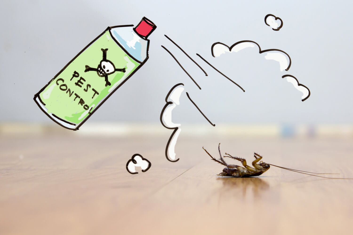Pest Control With A Baby Around – How To Go For It? - Being The Parent