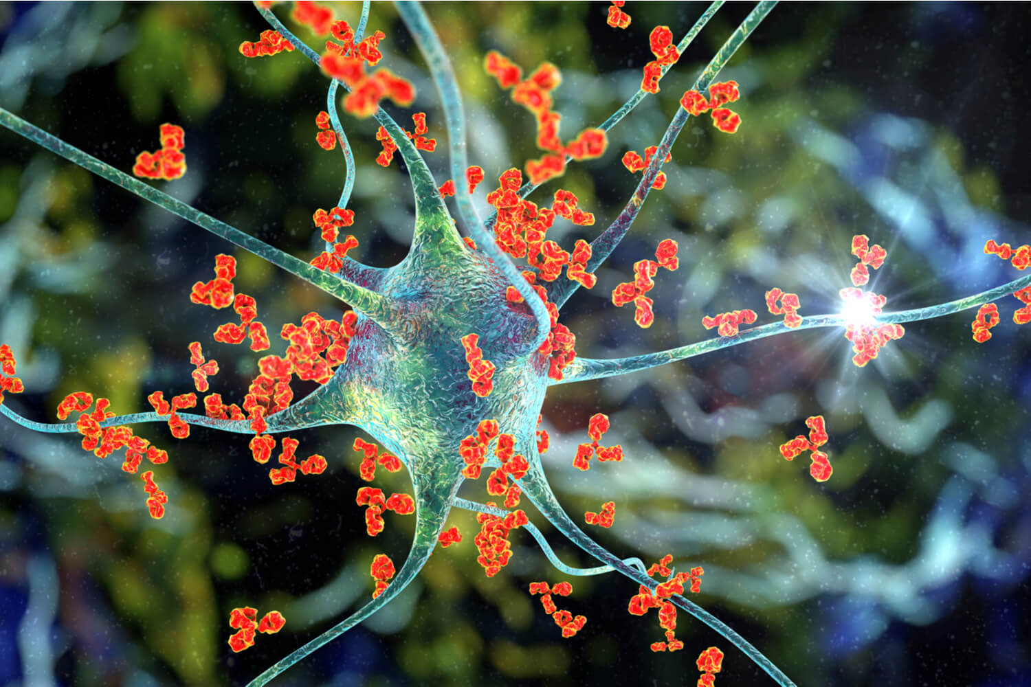 Autoimmune Vs. Low Immunity – What’s The Difference? - Being The Parent
