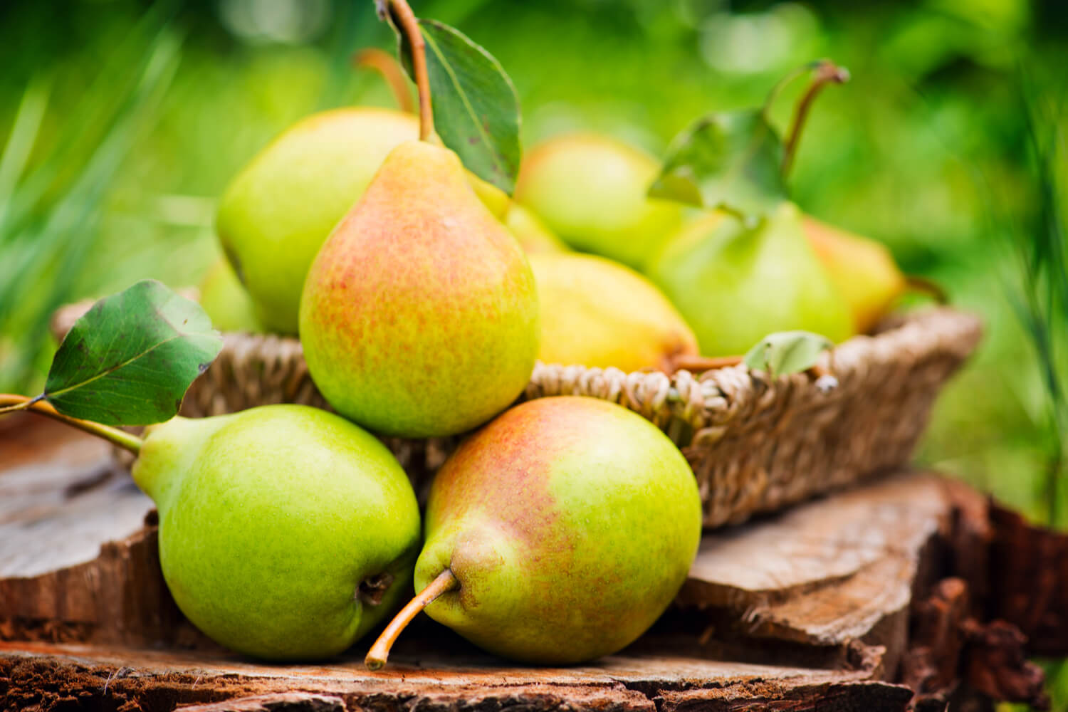 Pears For Babies - When to Introduce, Benefits And Precautions - Being ...