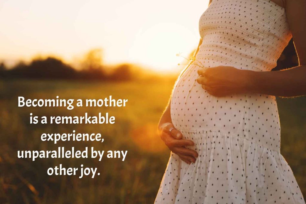 Top Best Pregnancy Quotes And Sayings That Will Delight You