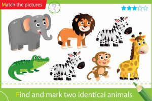 Object-to-Picture Matching Skills in Toddlers -How to Start