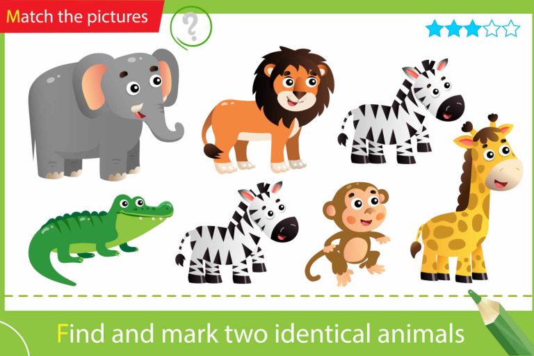 Object-to-Picture Matching Skills in Toddlers -How to Start