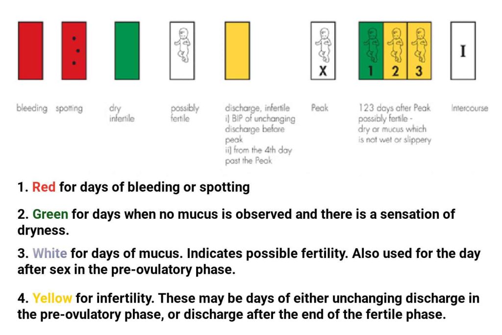 Billings Ovulation Method - Advantages and Disadvantages