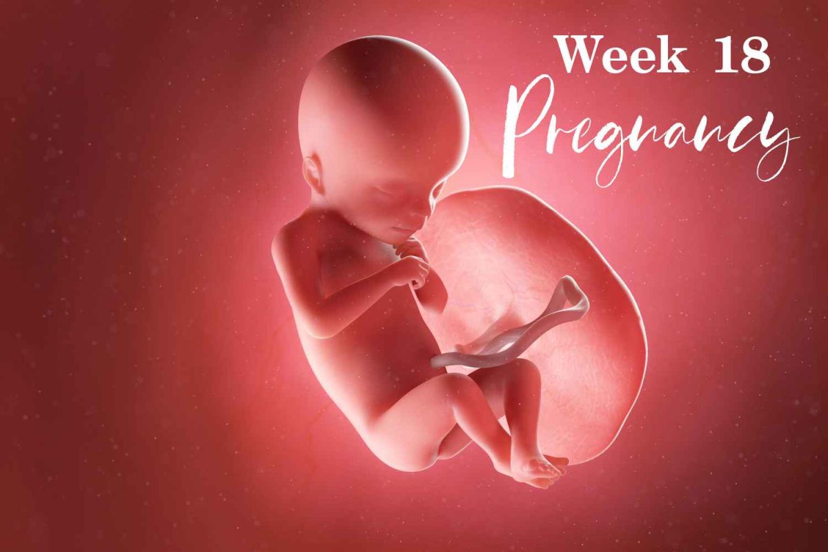 How Does Your Body Change During Week 18 of Pregnancy? - Being The Parent