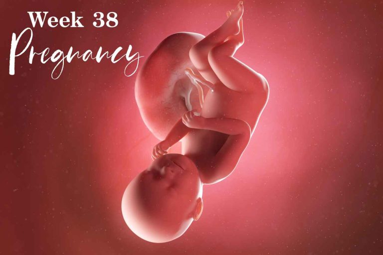 How Does Your Body Change During Week 38 Of Pregnancy? - Being The Parent
