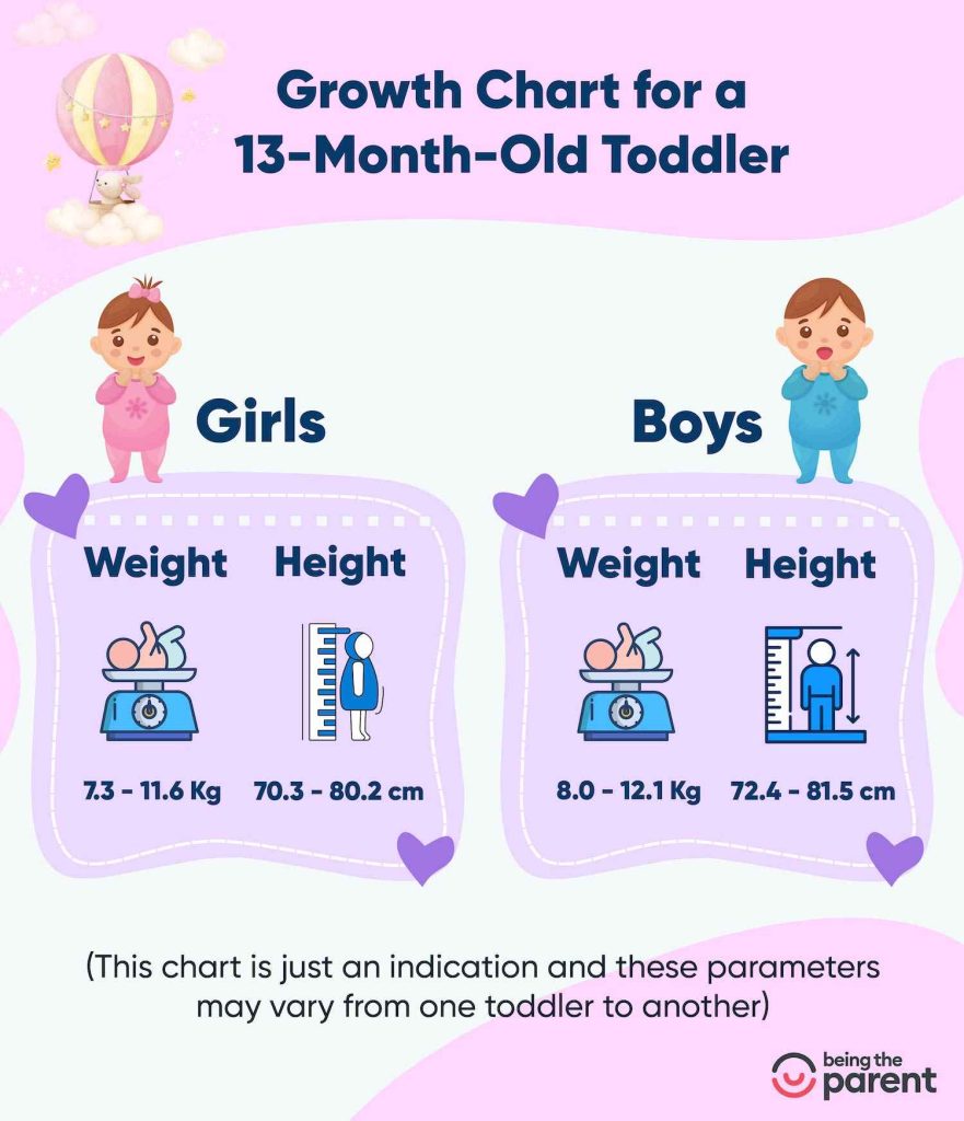 Toddler Milestones at 13 Month?