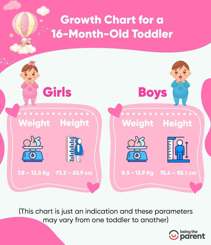 Toddler Milestones at 16 Months?