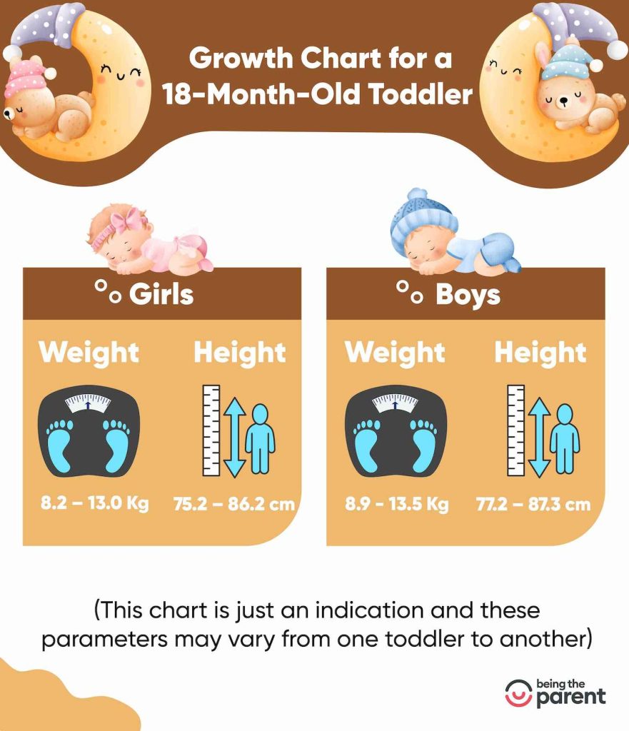Toddler Milestones at 18 Months?