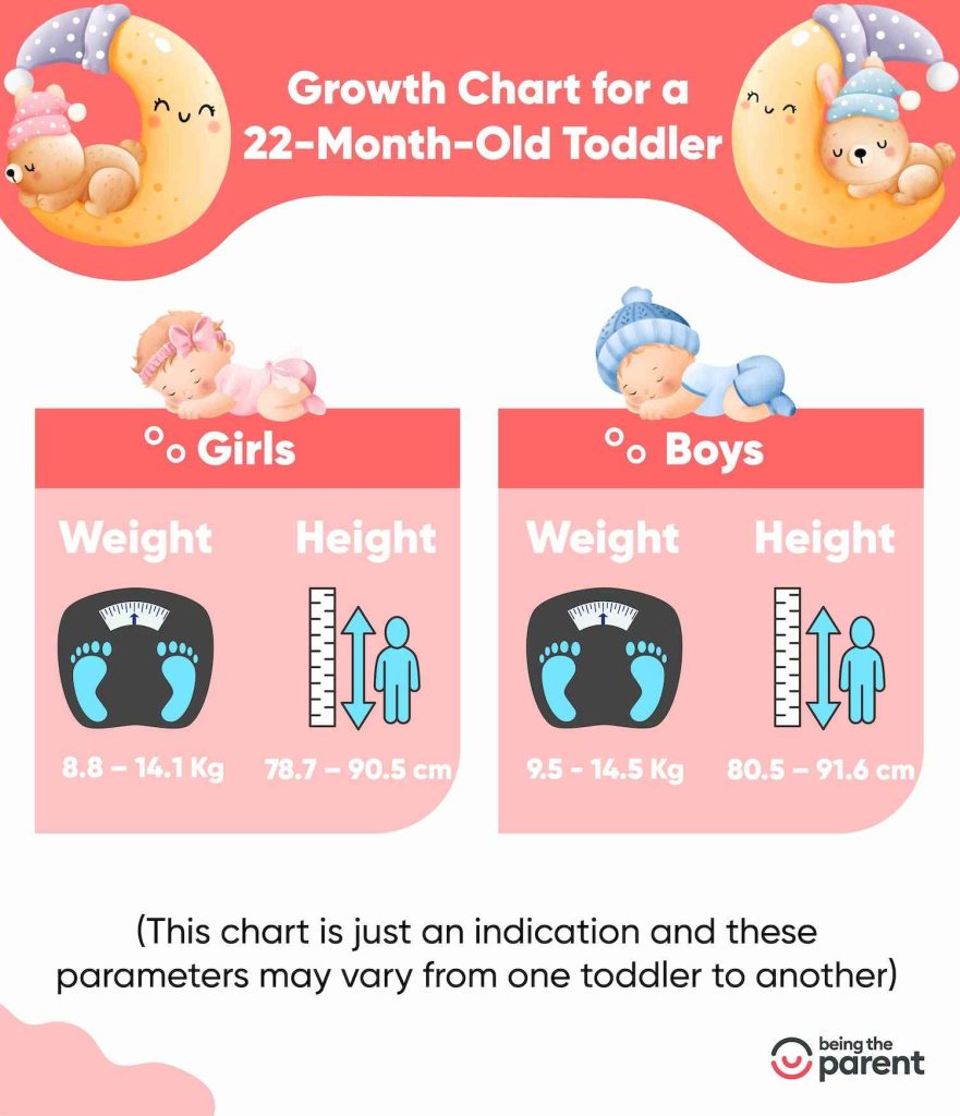 Toddler Milestones at 22 Months?