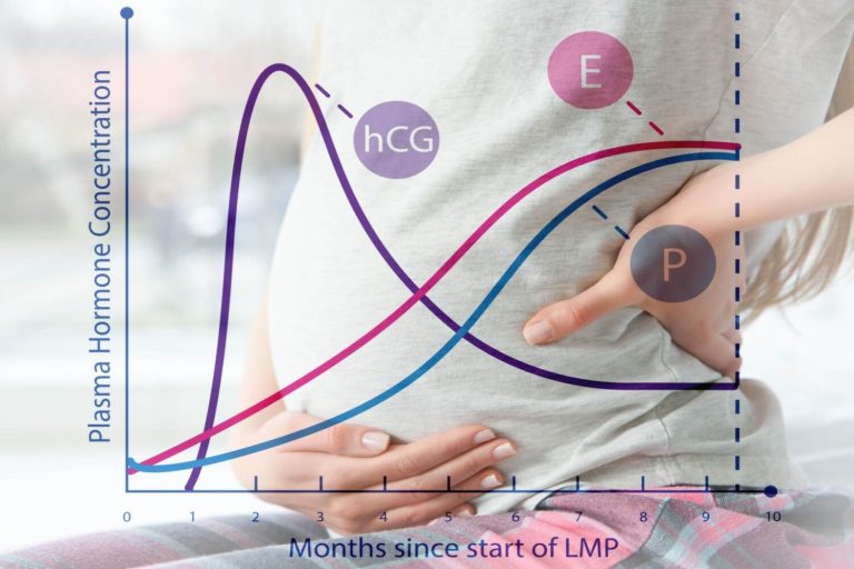 HCG Levels Chart during Pregnancy: Week by Week - Being The Parent
