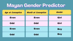 Free Chinese Gender Predictor Chart : Calendar and Calculator